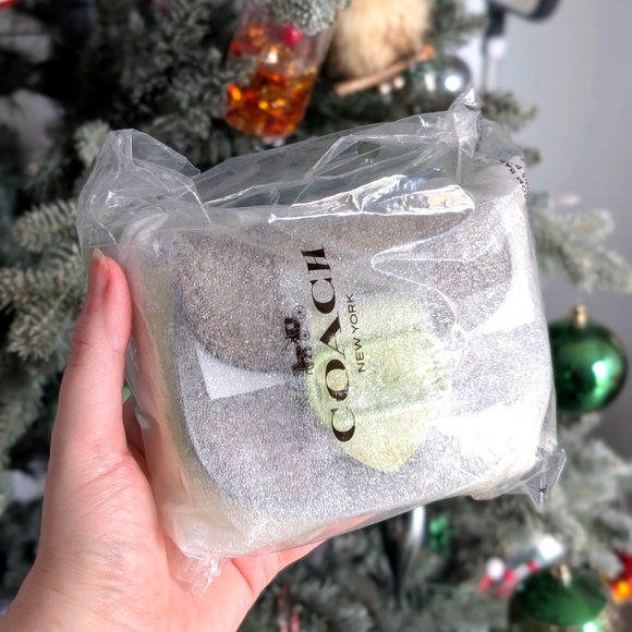 Coach | Bags | Coach Morgan Card Case On A Chain In Signature Canvas ...